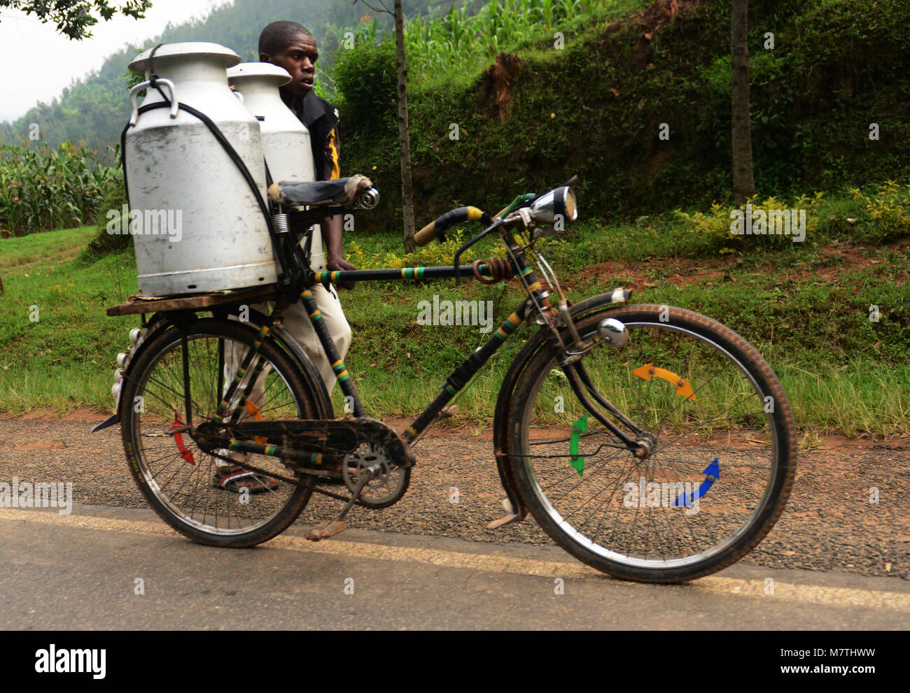 Milk Production Stock Photos & Milk Production Stock Images - Alamy