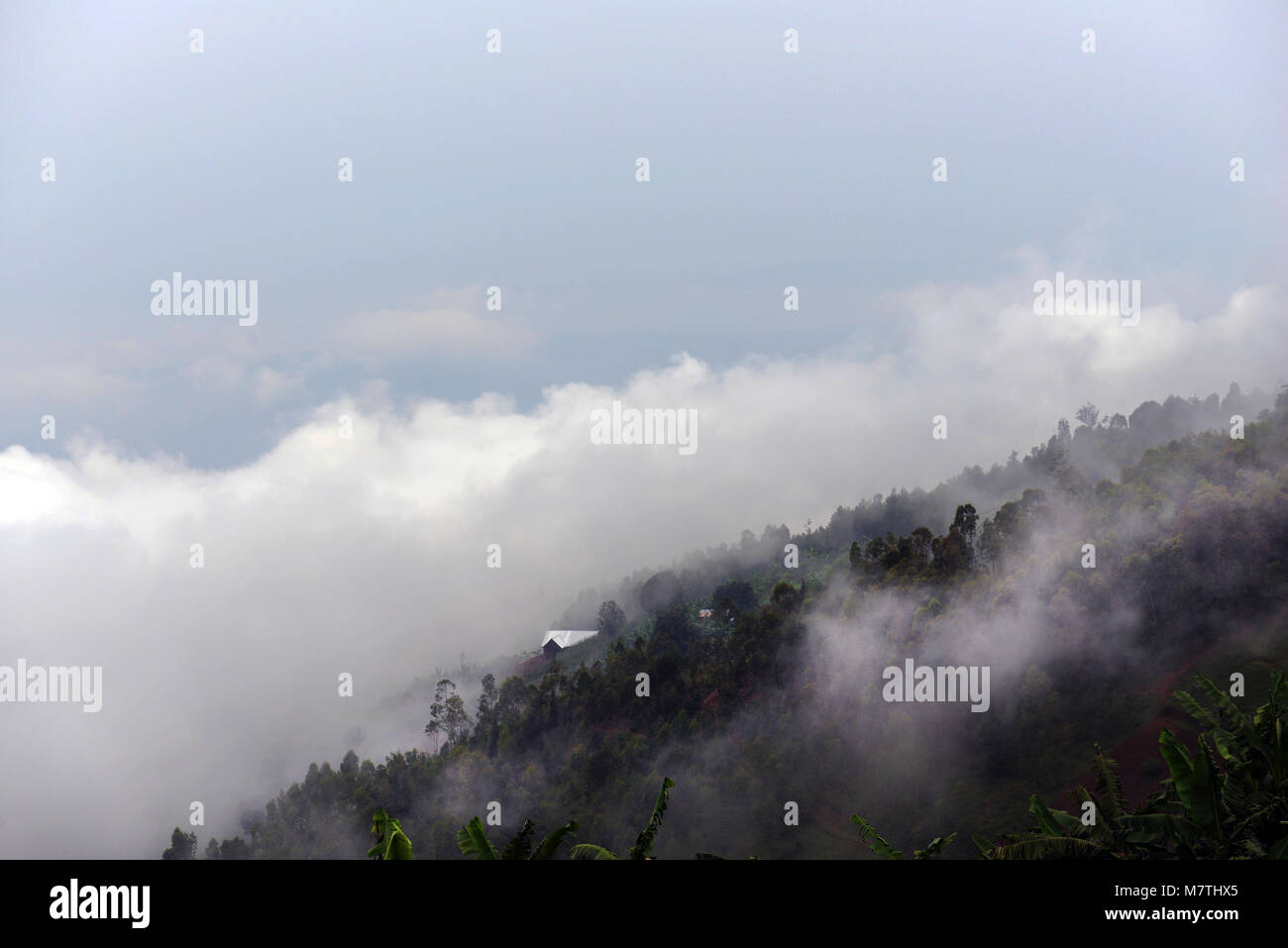 Rwandas hi-res stock photography and images - Alamy