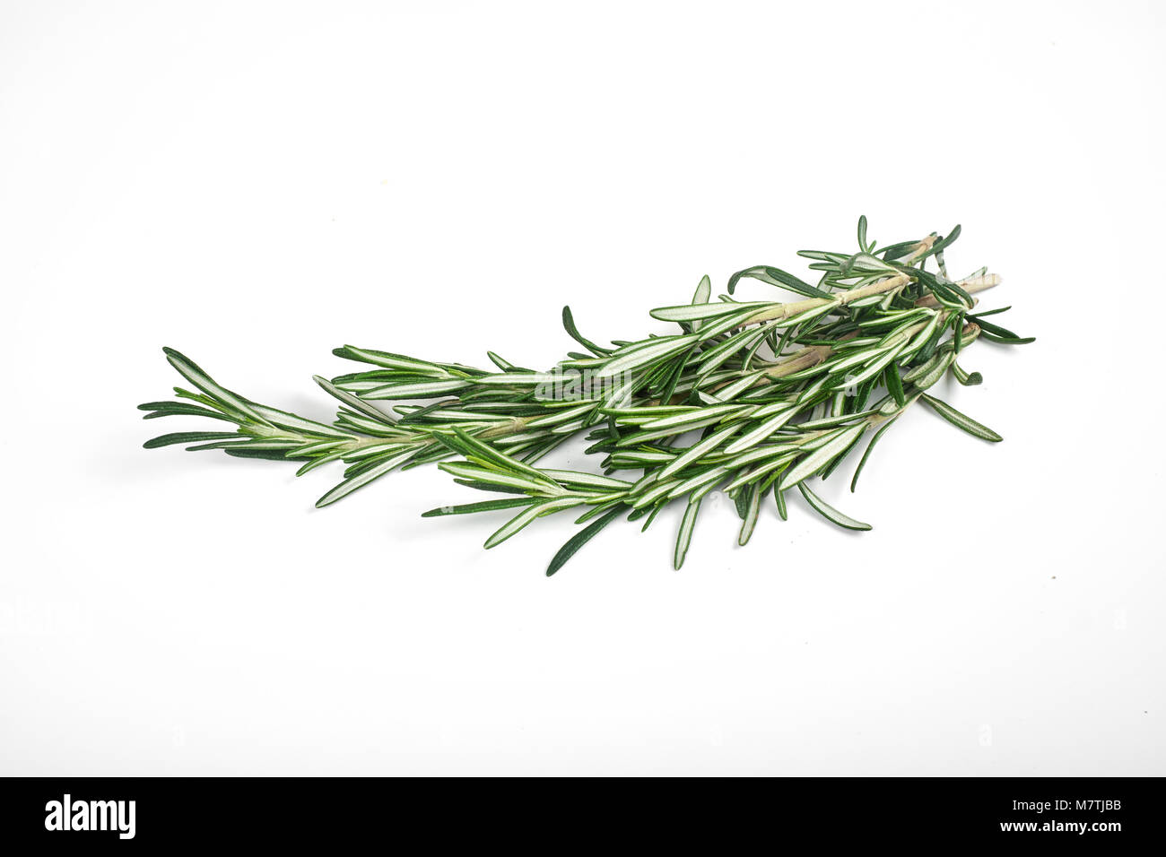 Sprigs of rosemary hi-res stock photography and images - Alamy