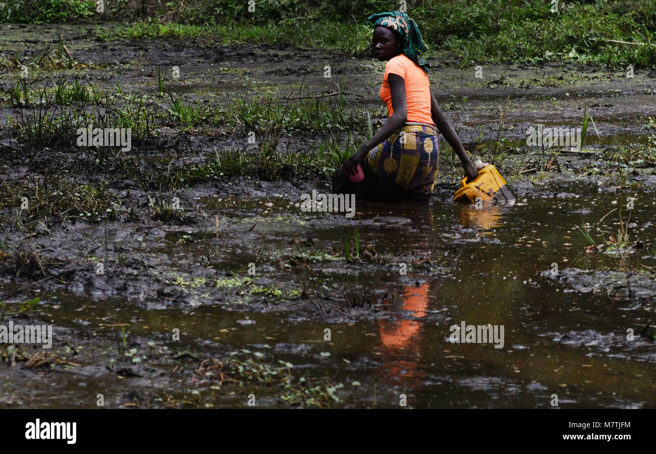 Congolese villagers fill their water supply from this Muddy pond. The ...