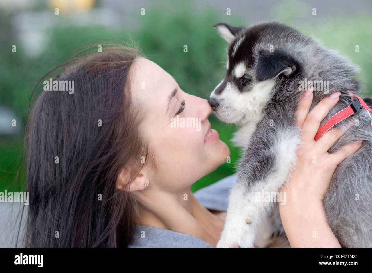 Young women holds her best friend little pet puppy of husky in her arms ...
