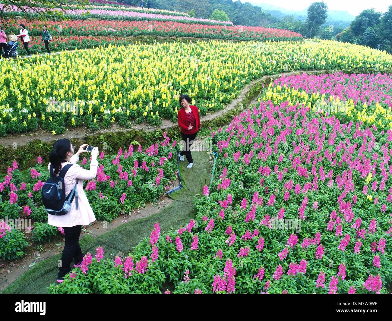 Zhou hua hi-res stock photography and images - Alamy