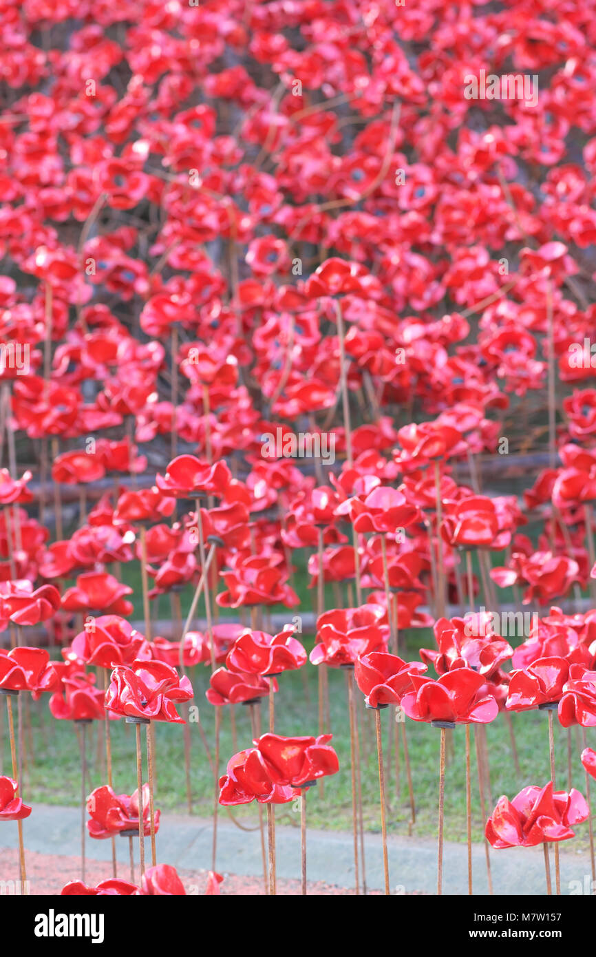 Hereford Cathedral, Hereford - March 2018 - Iconic poppy sculpture ...