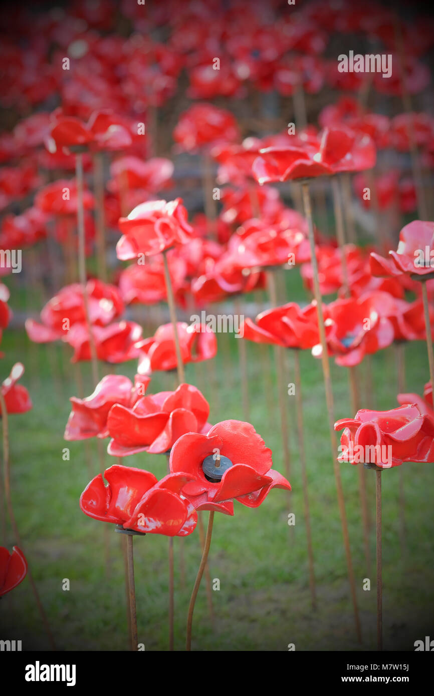 Hereford Cathedral, Hereford - March 2018 - Iconic poppy sculpture ...