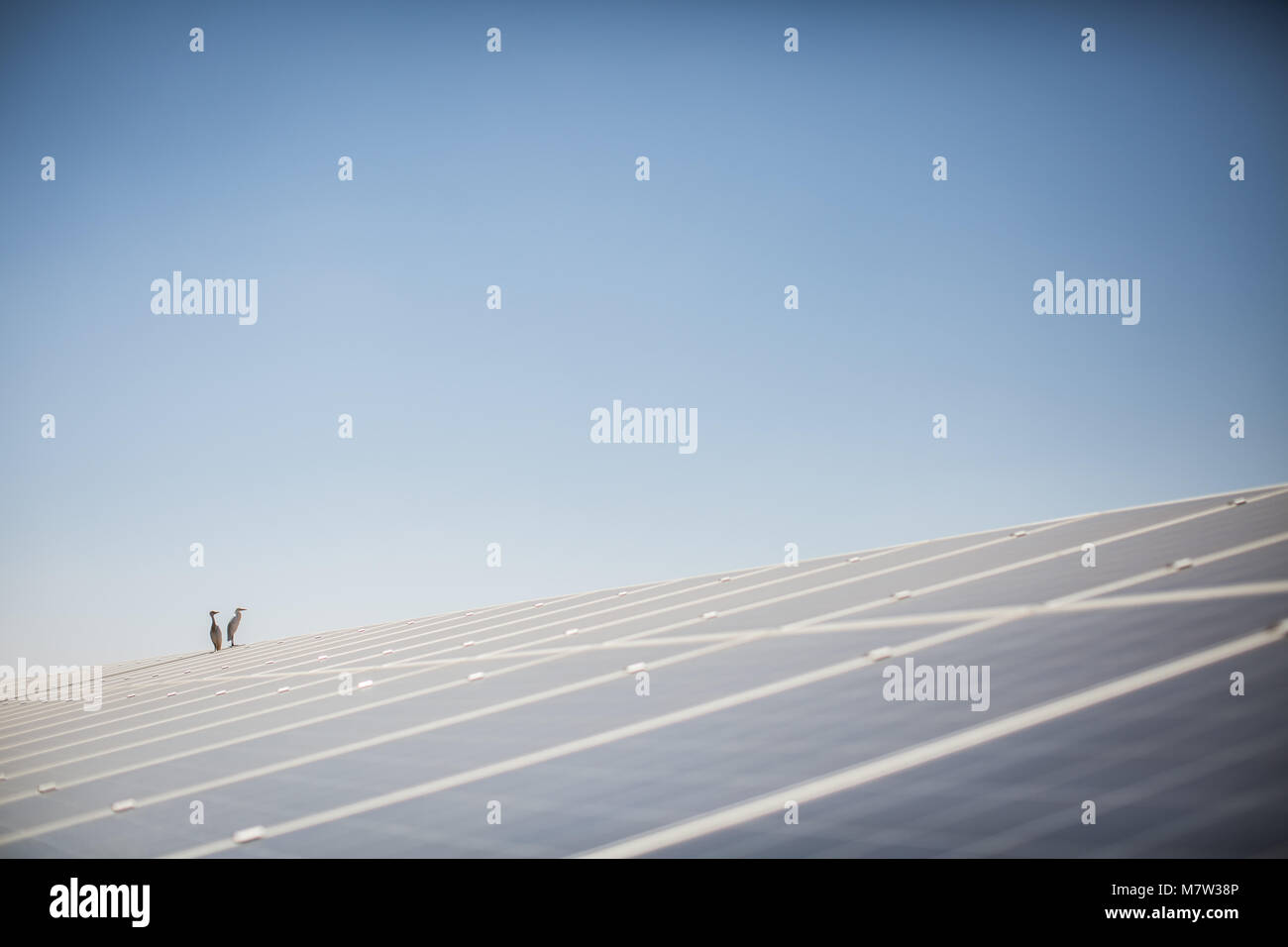 Ceremony of inauguration park hi-res stock photography and images - Alamy