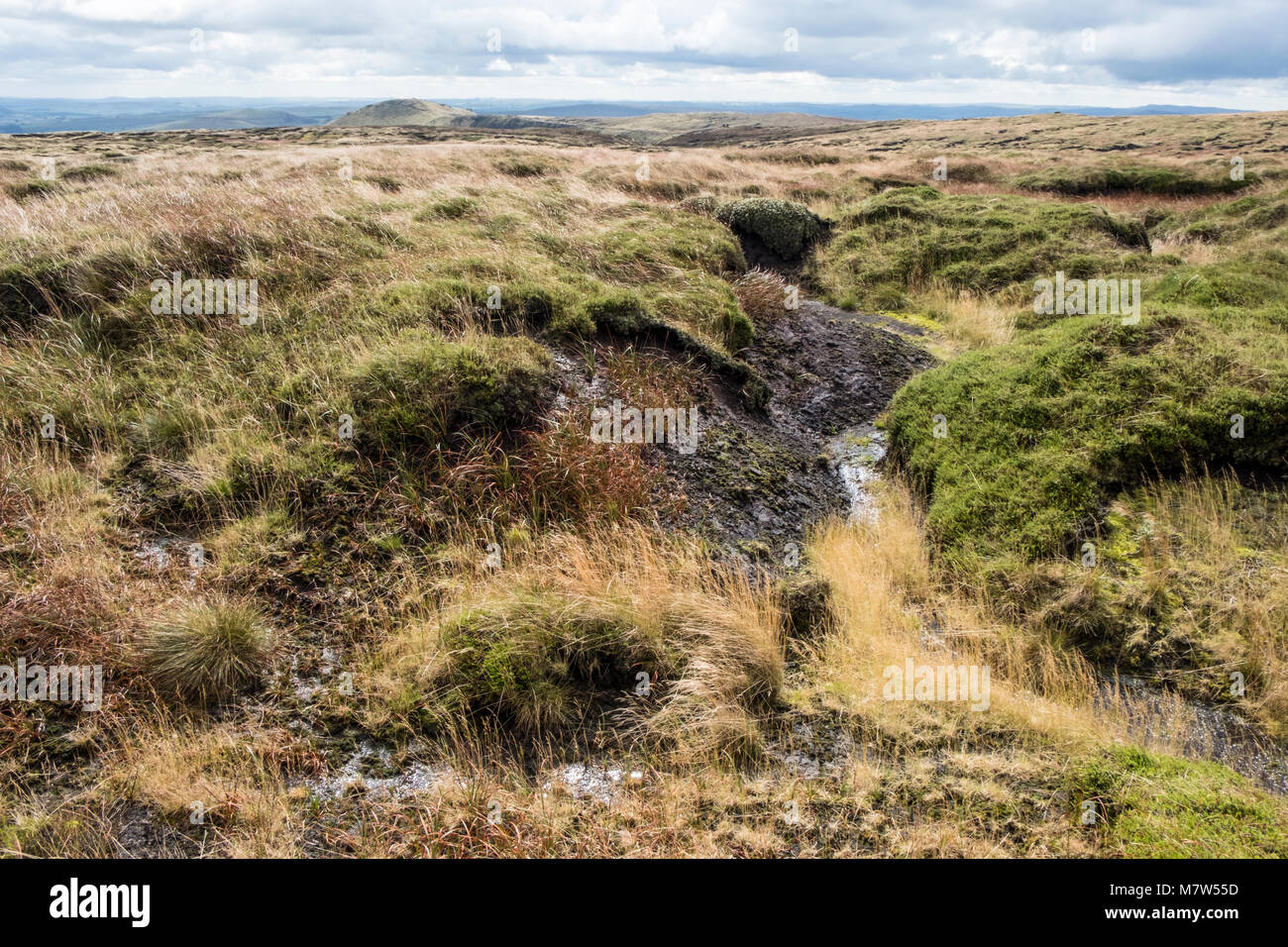 Blanket Bog Uk Stock Photos & Blanket Bog Uk Stock Images - Alamy