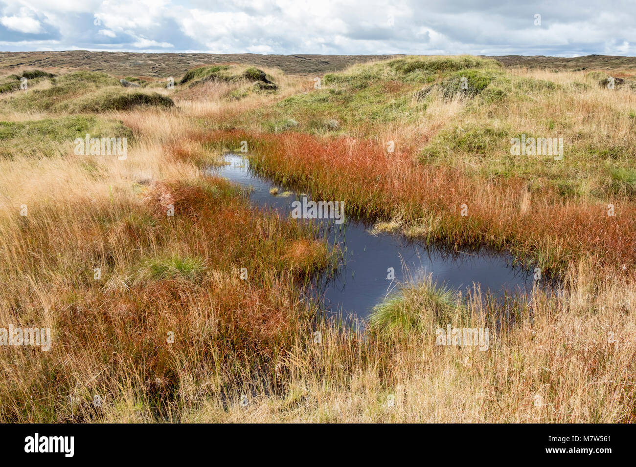 Restored peat bog uk hi-res stock photography and images - Alamy