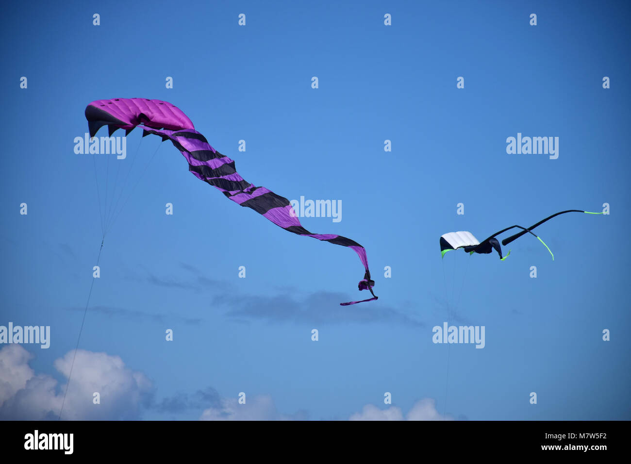 Two kites hi-res stock photography and images - Alamy