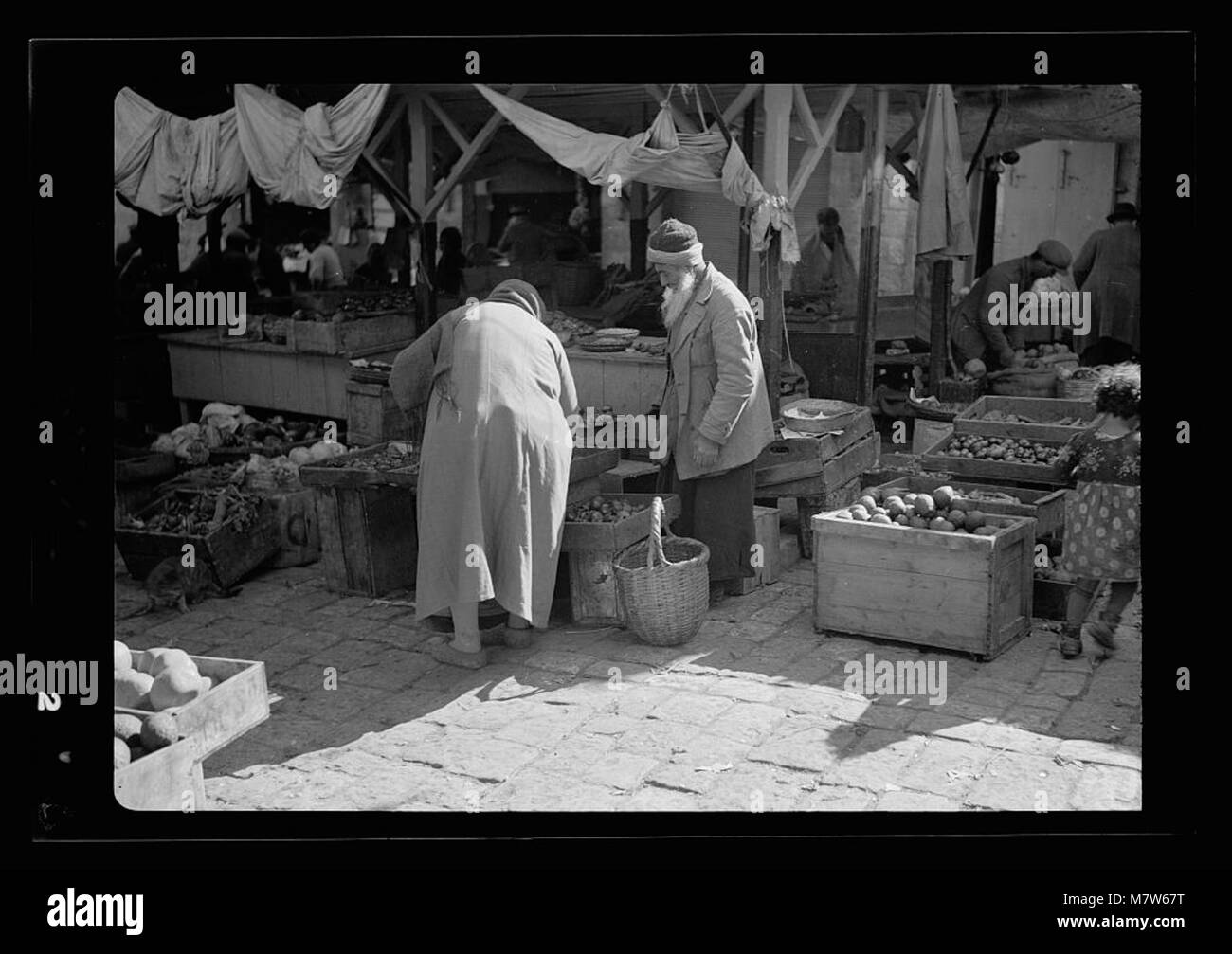 Highlights various types Black and White Stock Photos & Images - Alamy