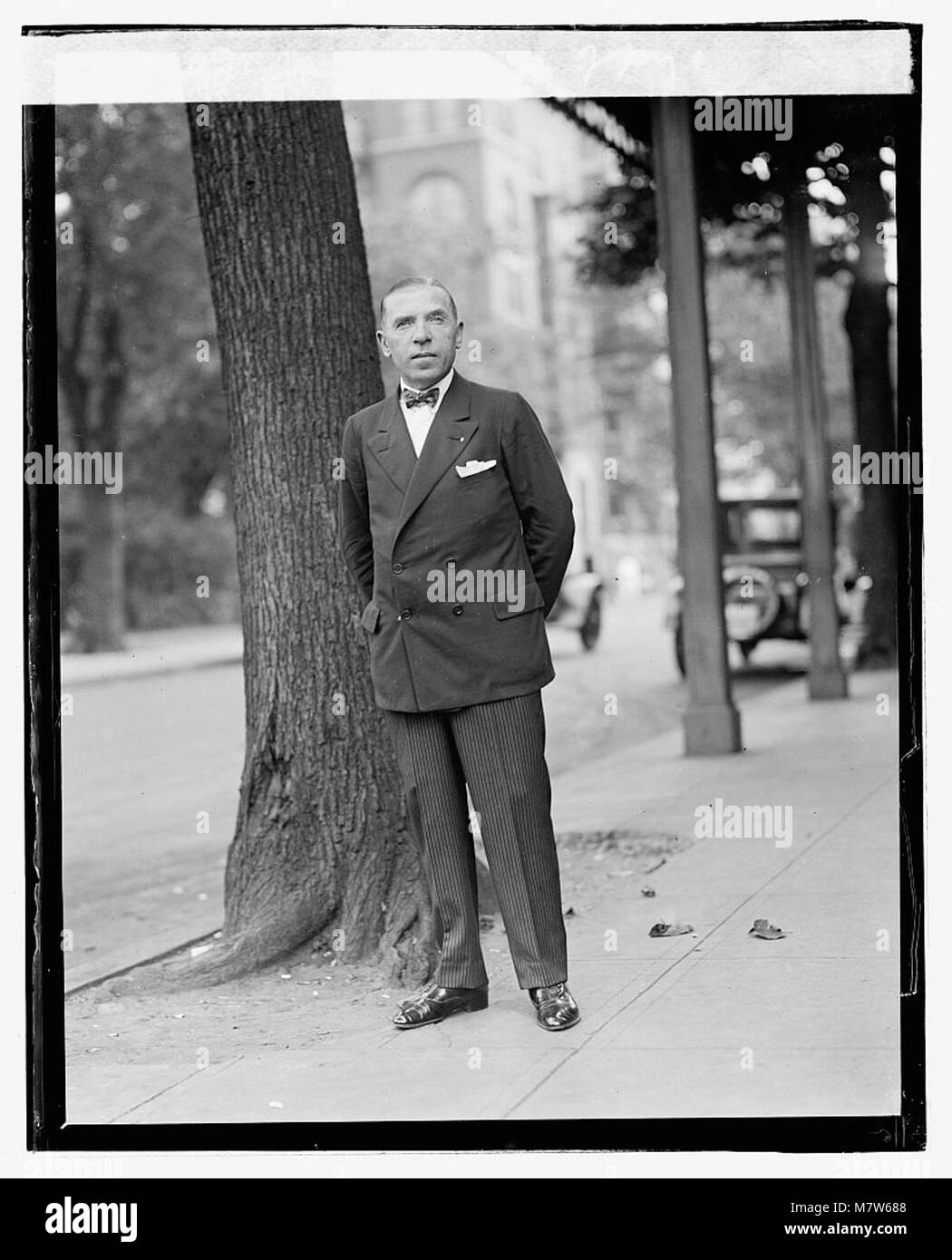 This is a portrait of Joe (Sol) Bloom, an individual with ties to New ...