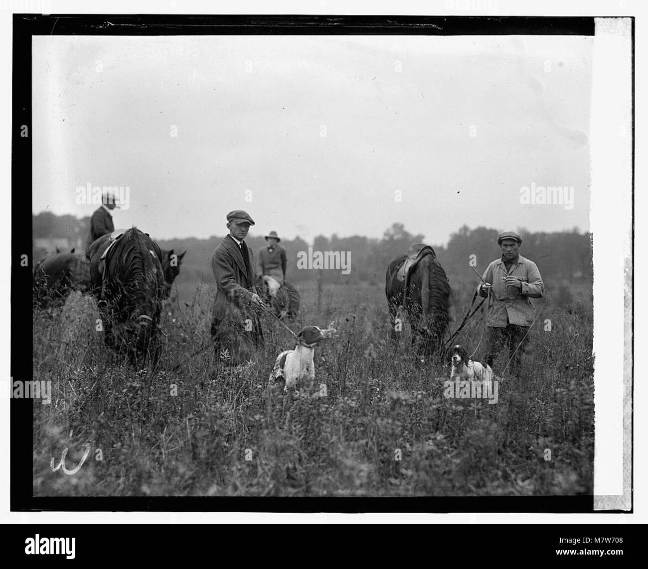 Nat. Cap. field trials LOC npcc.09791 Stock Photo - Alamy