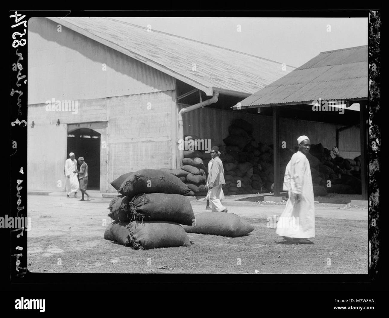 Cloves bags hi-res stock photography and images - Alamy