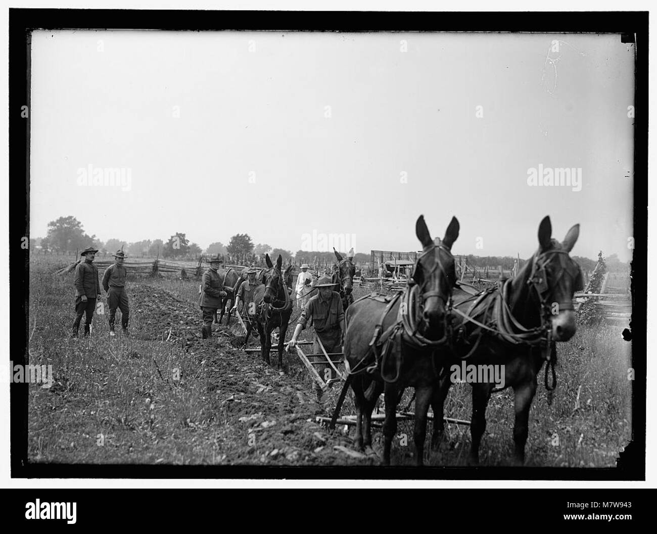 A series of miscellaneous views from Camp Dix, a U.S. military training ...
