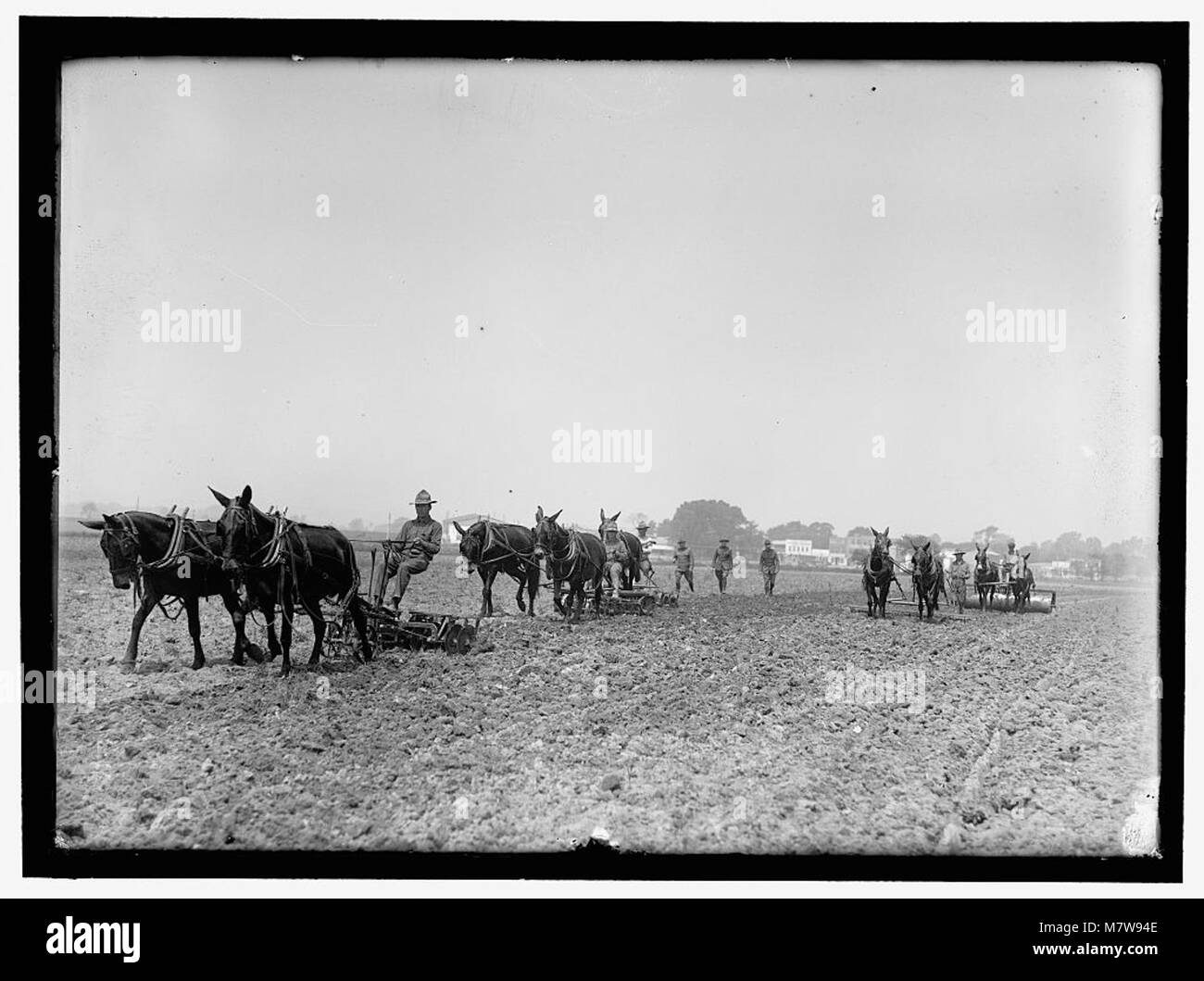 A series of miscellaneous views from Camp Dix, showing various aspects ...