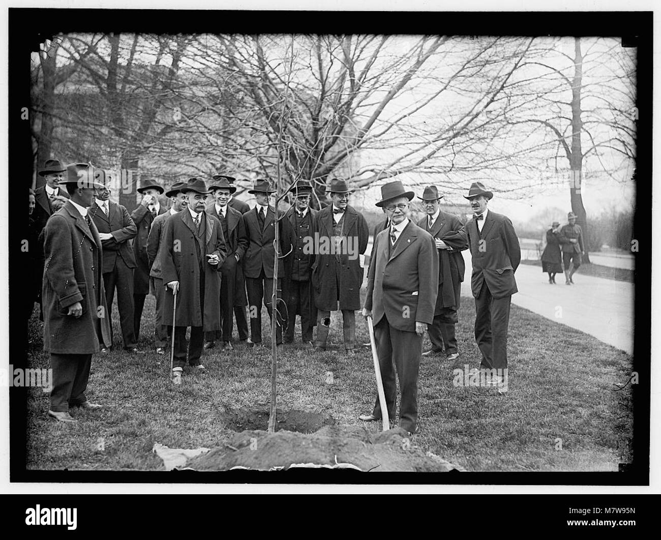 A historic image of the U.S. Capitol during a tree planting ceremony ...