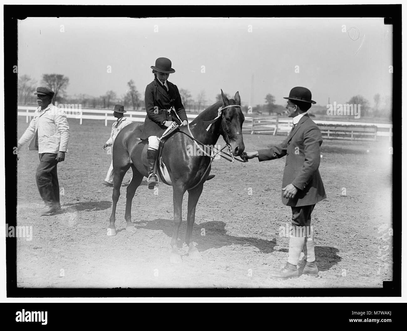 A collection of miscellaneous views from horse shows, capturing various ...