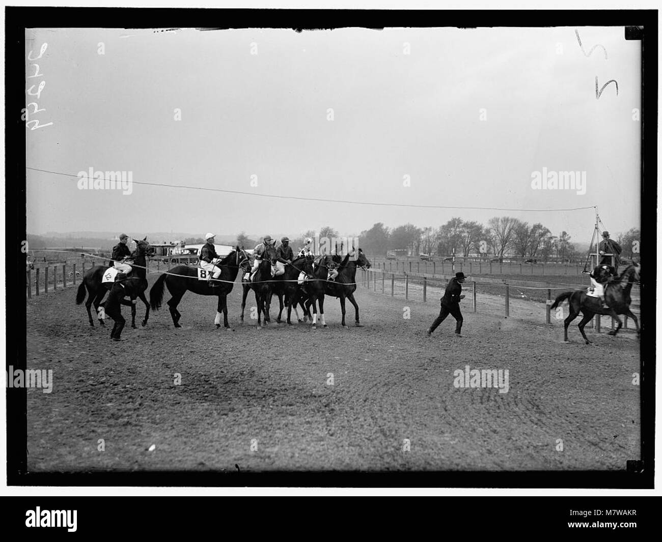 A series of photographs capturing various horse shows, showcasing ...