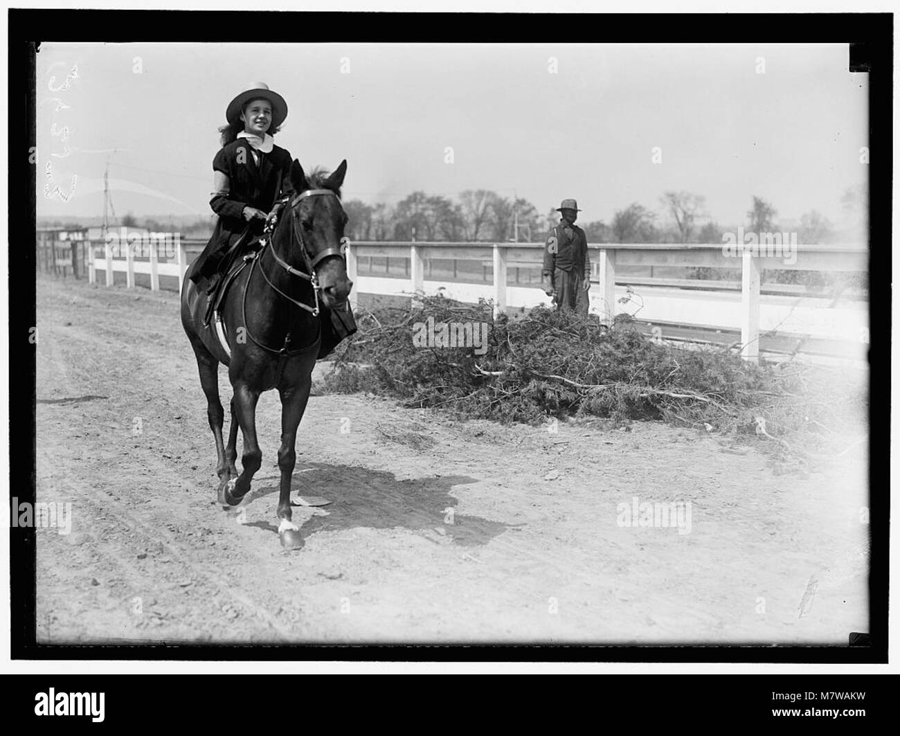A series of images capturing various scenes from horse shows ...