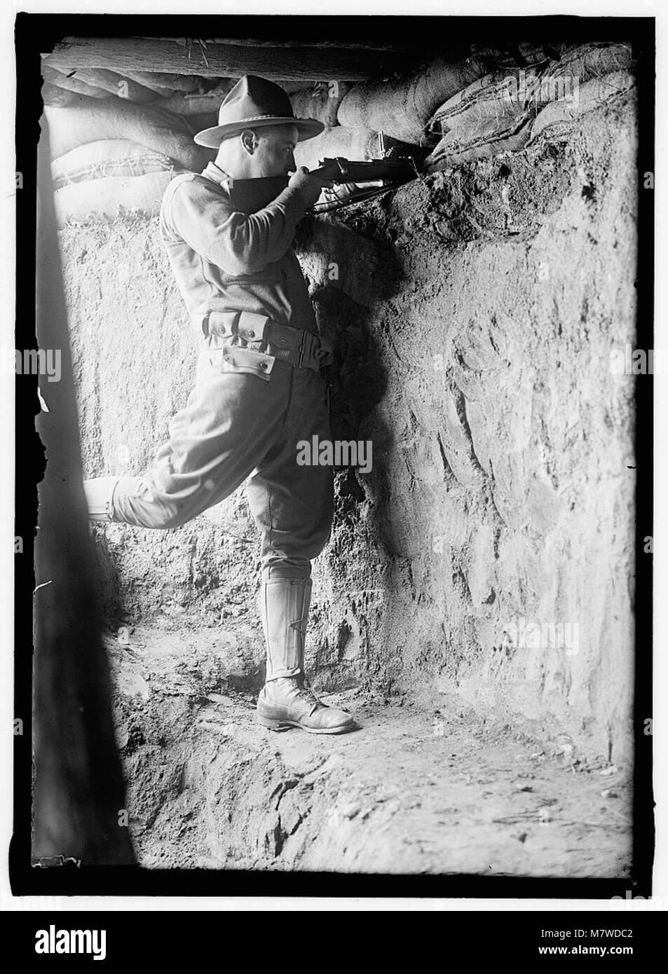 A series of images from the American University Training Camp ...