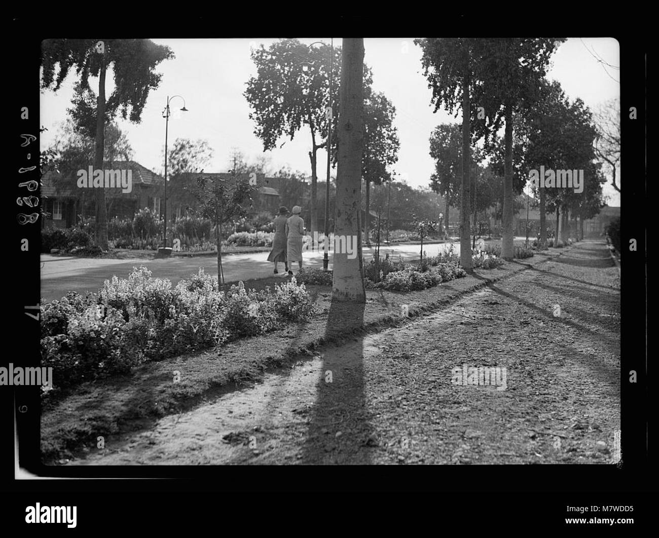 A view of the Gezira Gardens in Cairo, Egypt, known for their lush ...