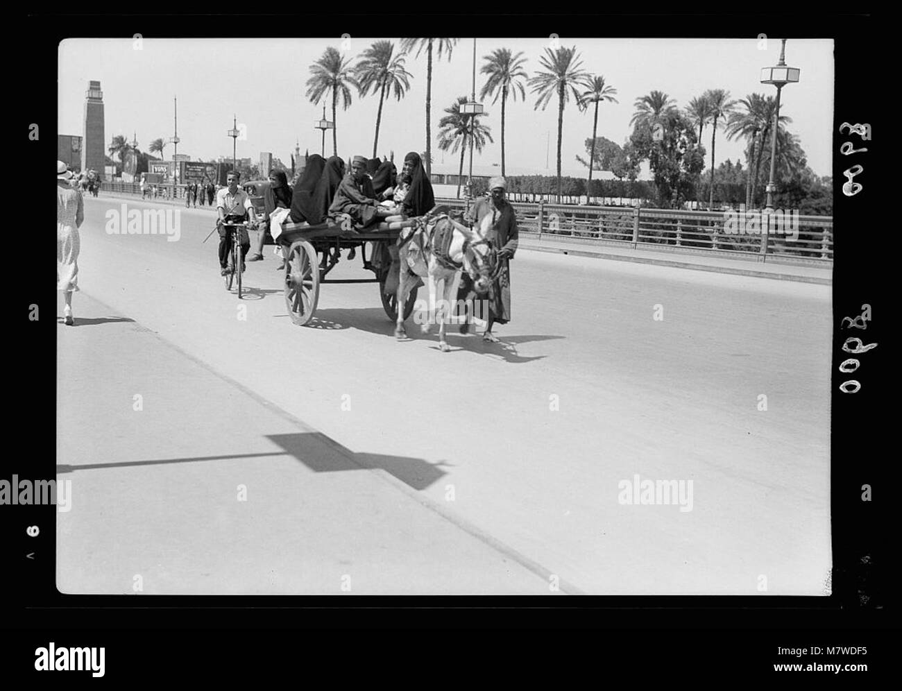 In Cairo, Egypt, native carts are used to carry passengers, showcasing ...