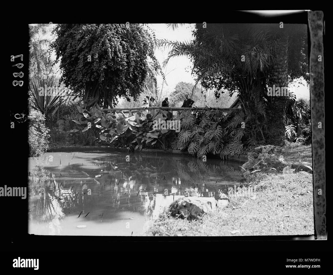 A scenic view of the Zoological Gardens in Cairo, Egypt, featuring a ...