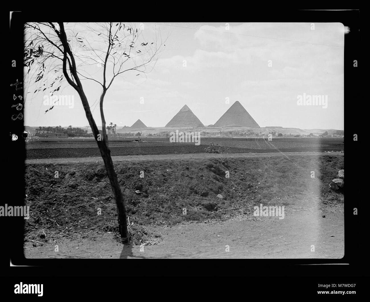 This photograph shows a distant view of the three Pyramids of Giza in ...