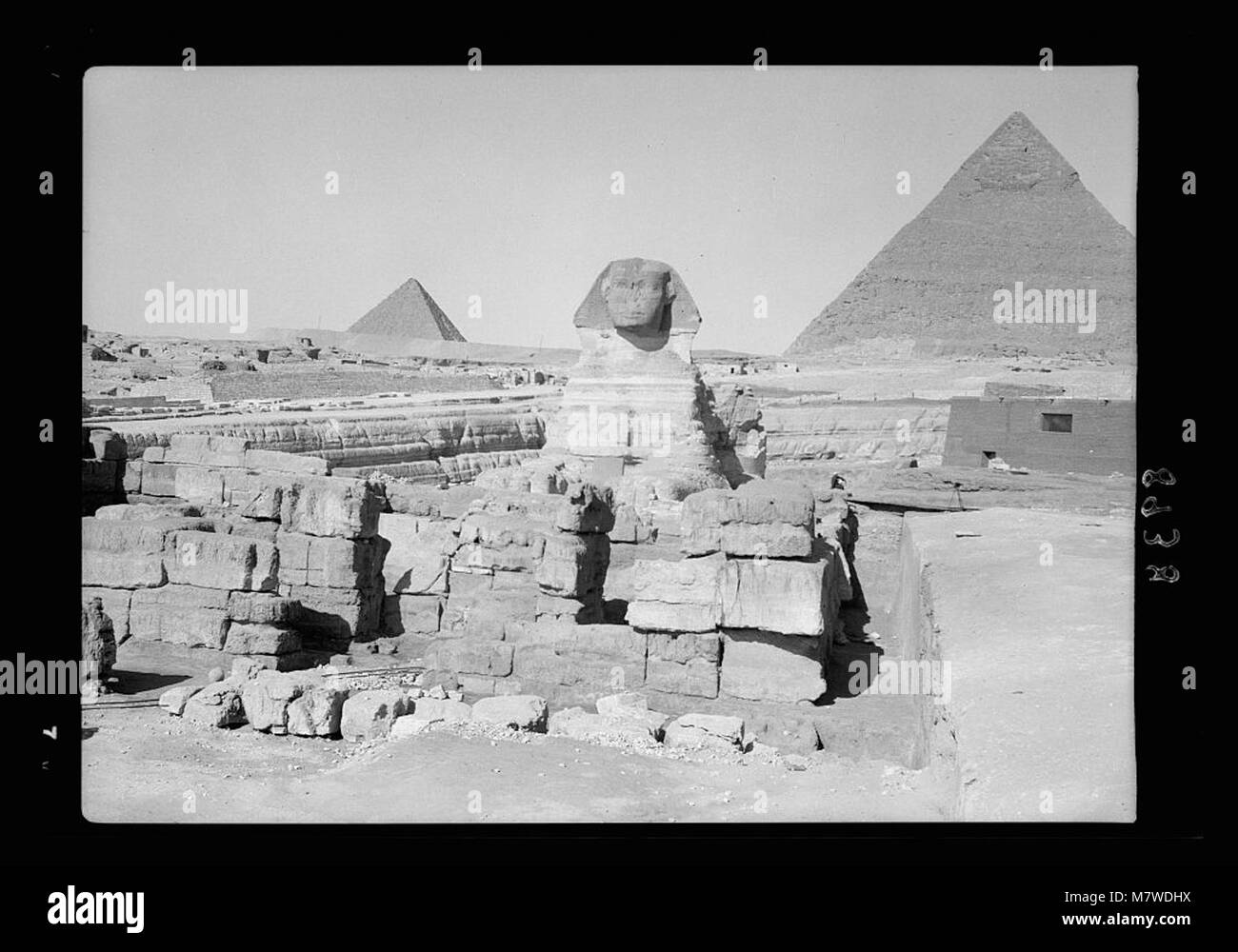 A view of the Egyptian Sphinx with the pyramids in the background. The ...