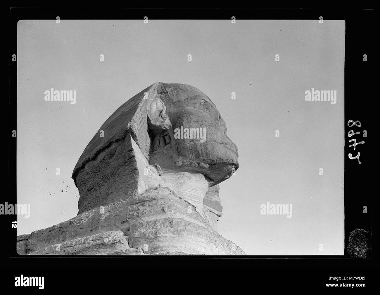 A close-up photograph of the Sphinx head, part of the larger Sphinx and ...
