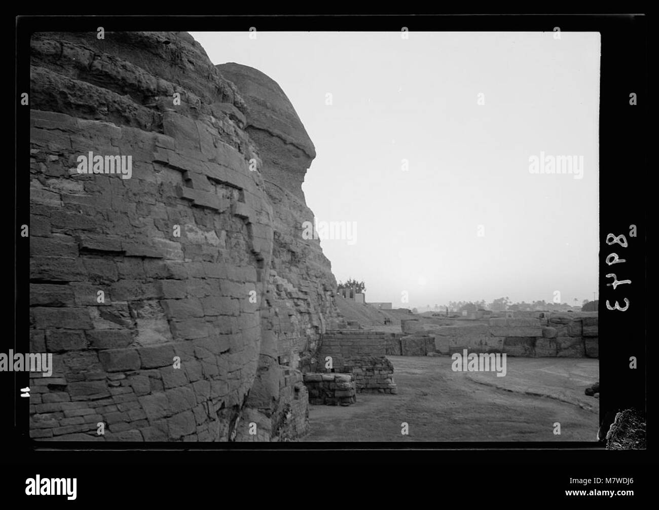 Egypt. Sphinx & pyramids. Sunrise scene from alongside the Sphinx LOC ...