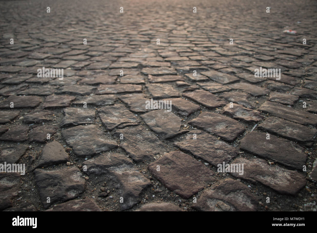 Asphalt Texture Perspective