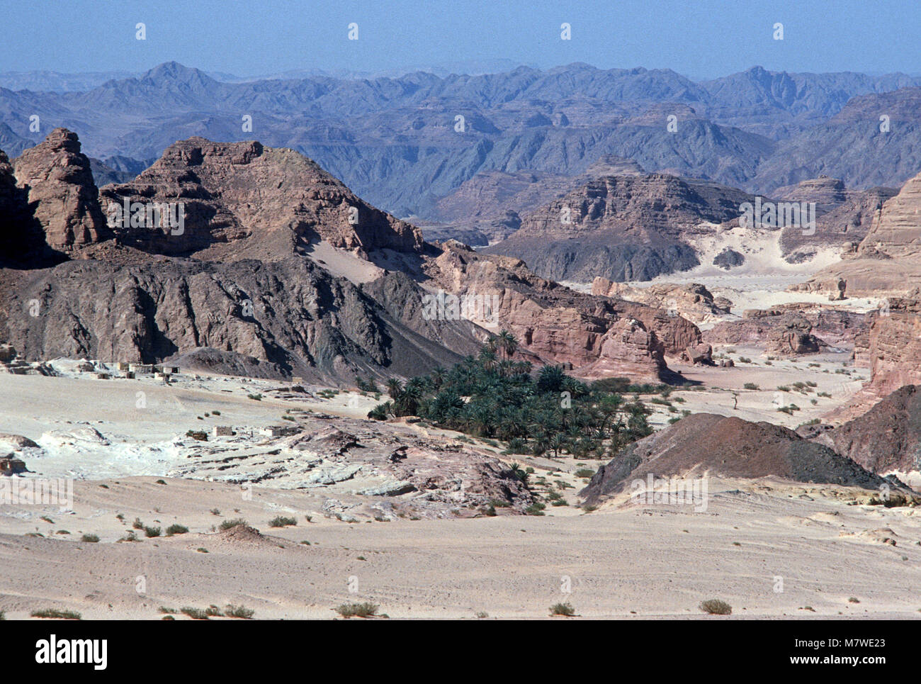 Sinai Desert Peninsula Stock Photo - Alamy