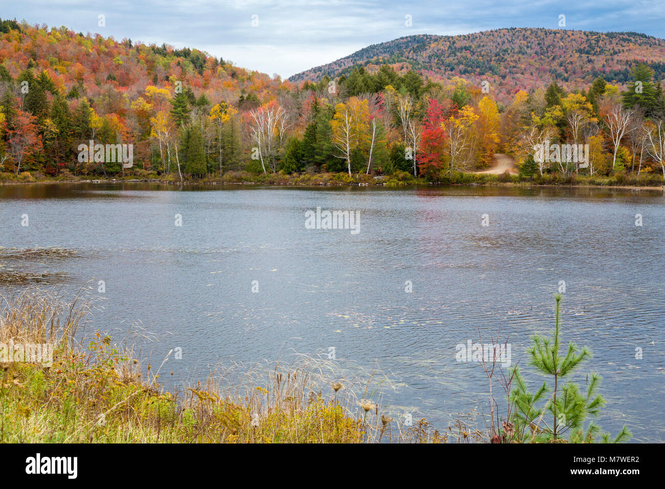Simon Pond, Raquette River, Upper New York State, USA. Fall Foliage ...