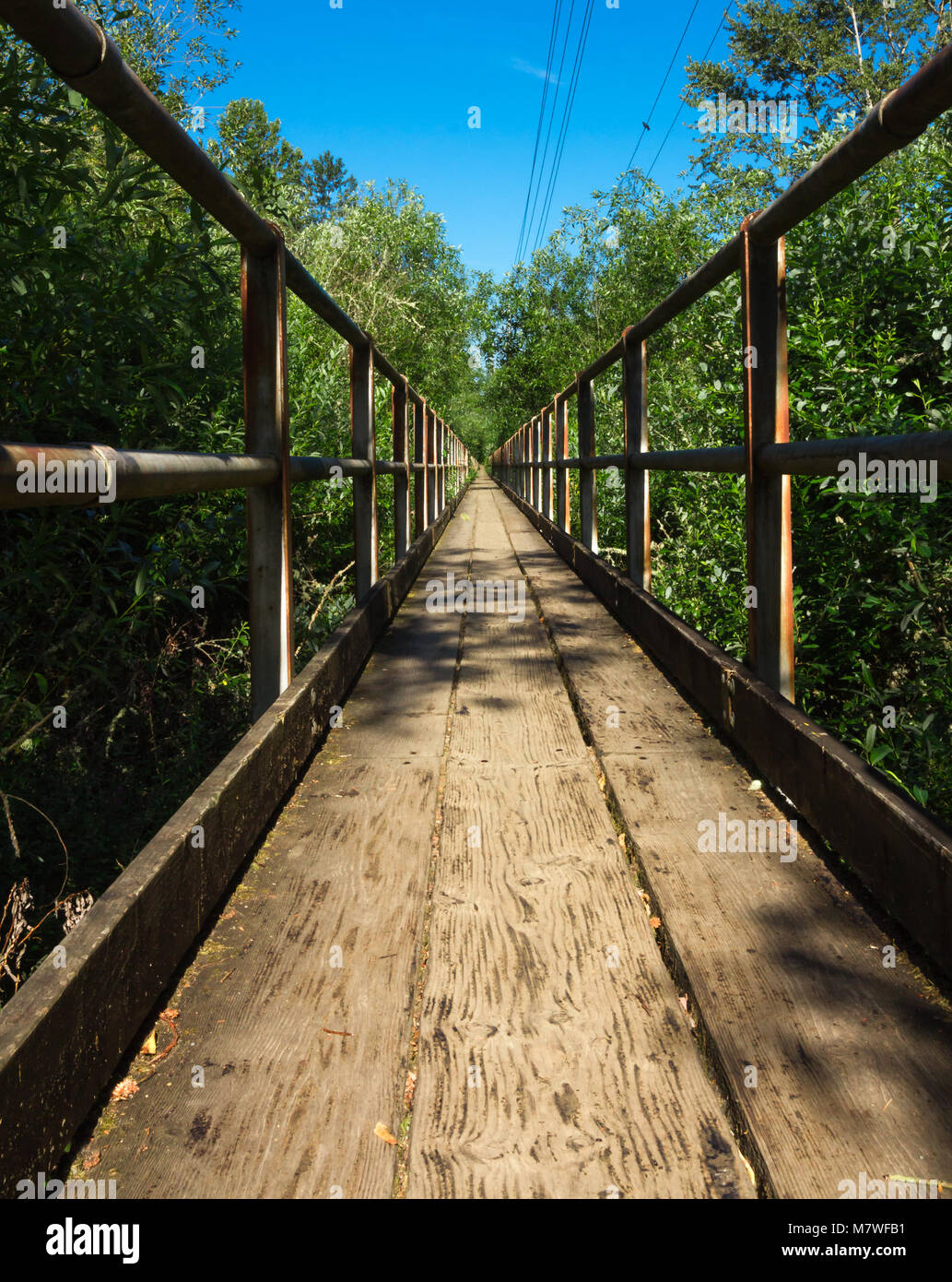 Bridge cross park outdoor hi-res stock photography and images - Alamy