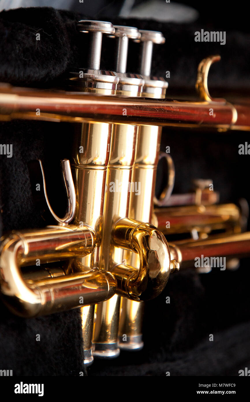 a beautiful old gold colored trumpet pistons or valves Stock Photo - Alamy