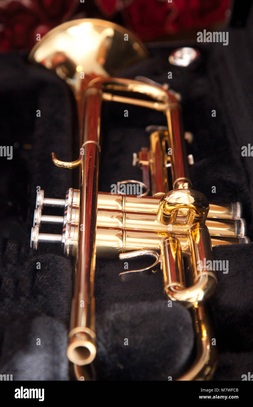 Velvet case hi-res stock photography and images - Alamy