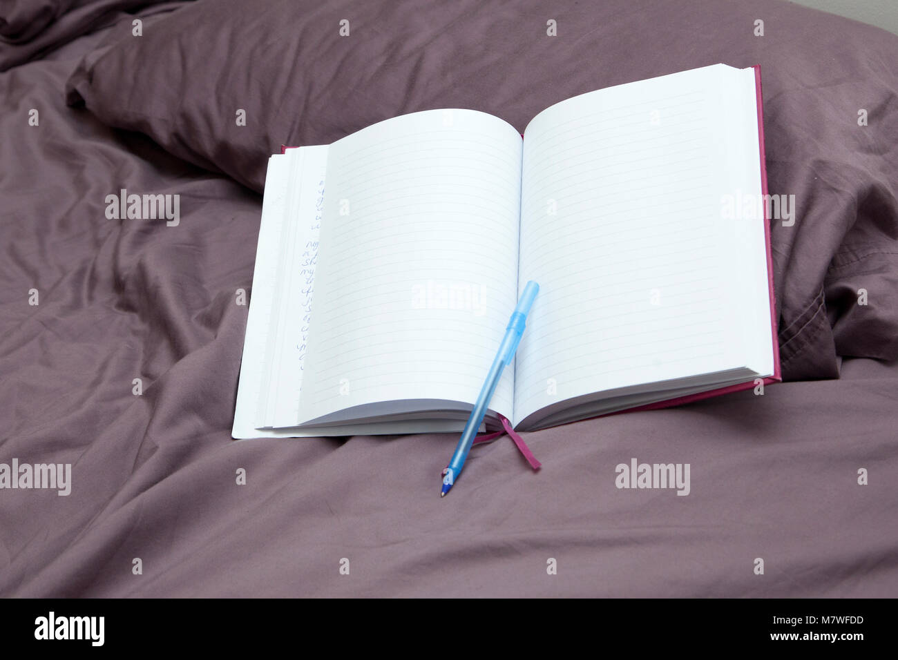 Diary entry hi-res stock photography and images - Alamy