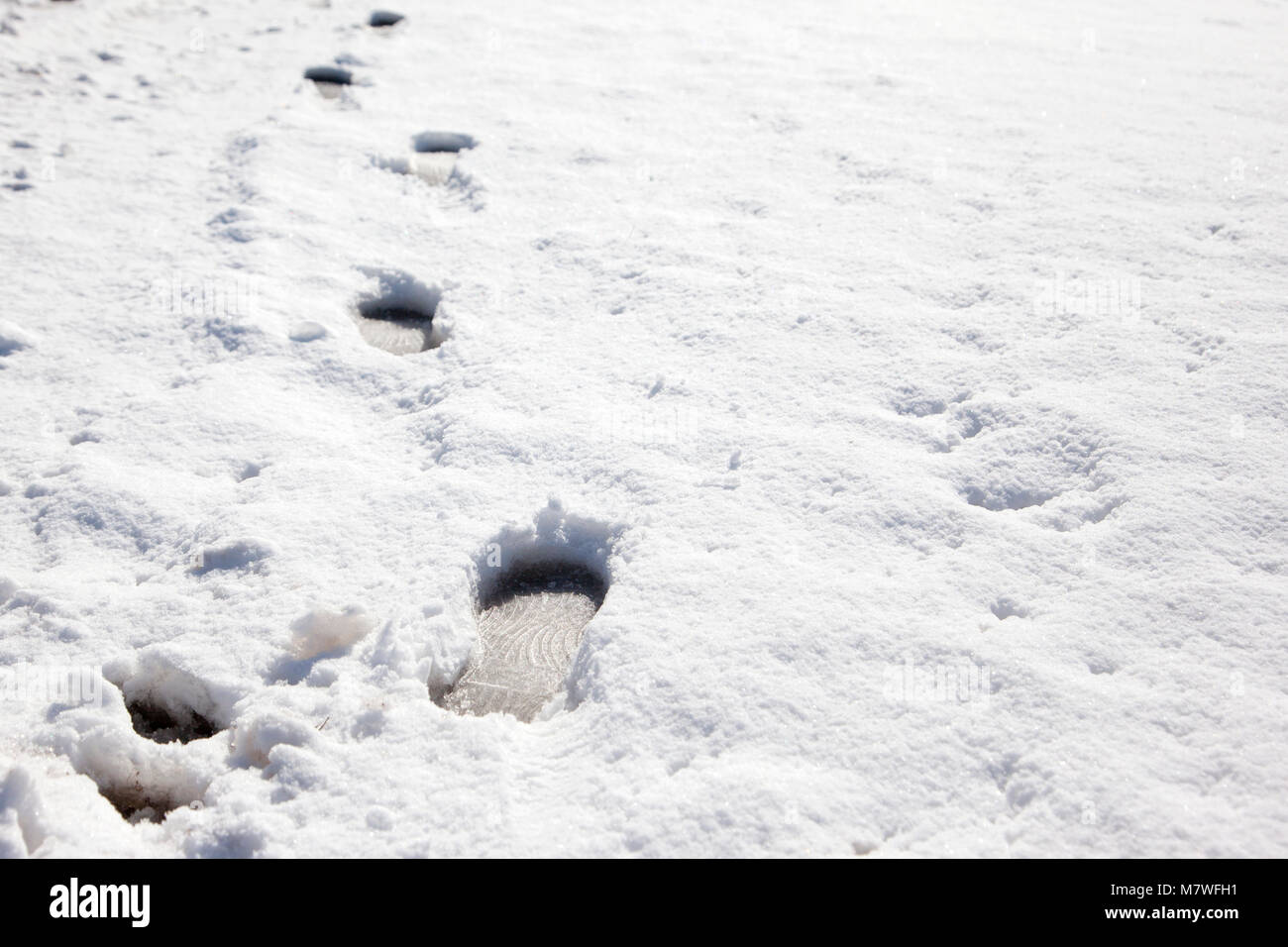 Boot prints in snow hi-res stock photography and images - Alamy
