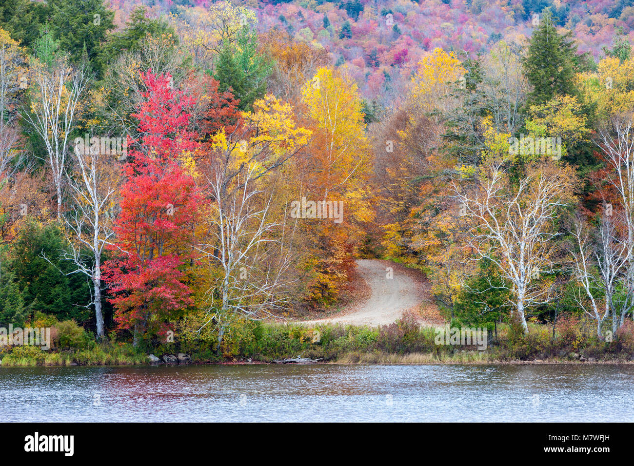 Simon Pond, Raquette River, Upper New York State, USA. Fall Foliage ...