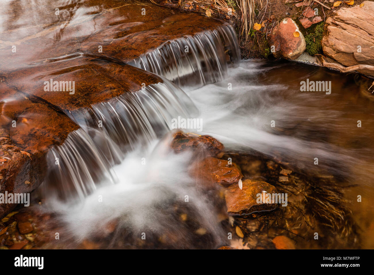 The Left Fork North Creek cascades over a red rock ledge on the hike to ...