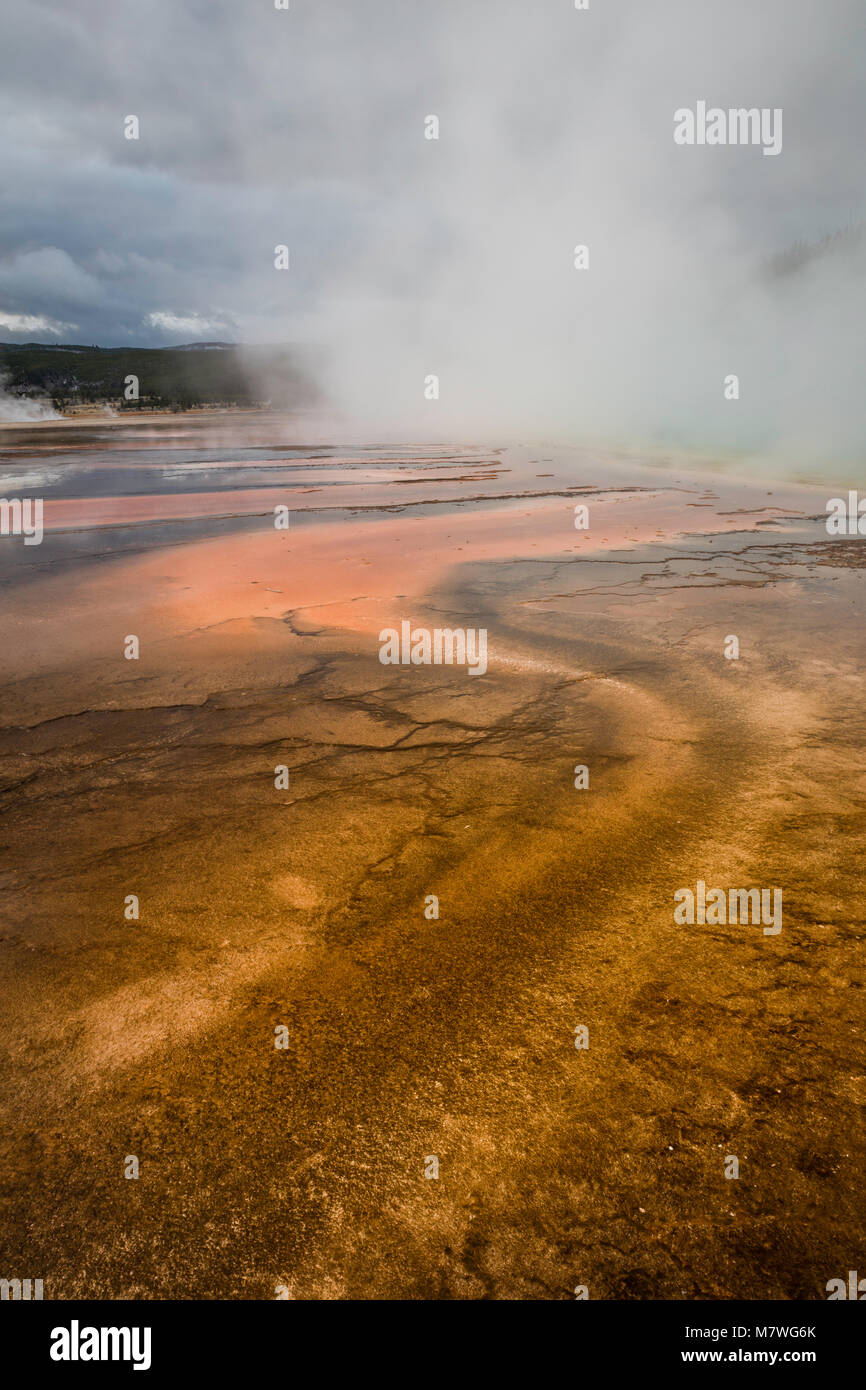 Giant Prismatic Spring, Yellowstone National Park, Wyoming Stock Photo ...