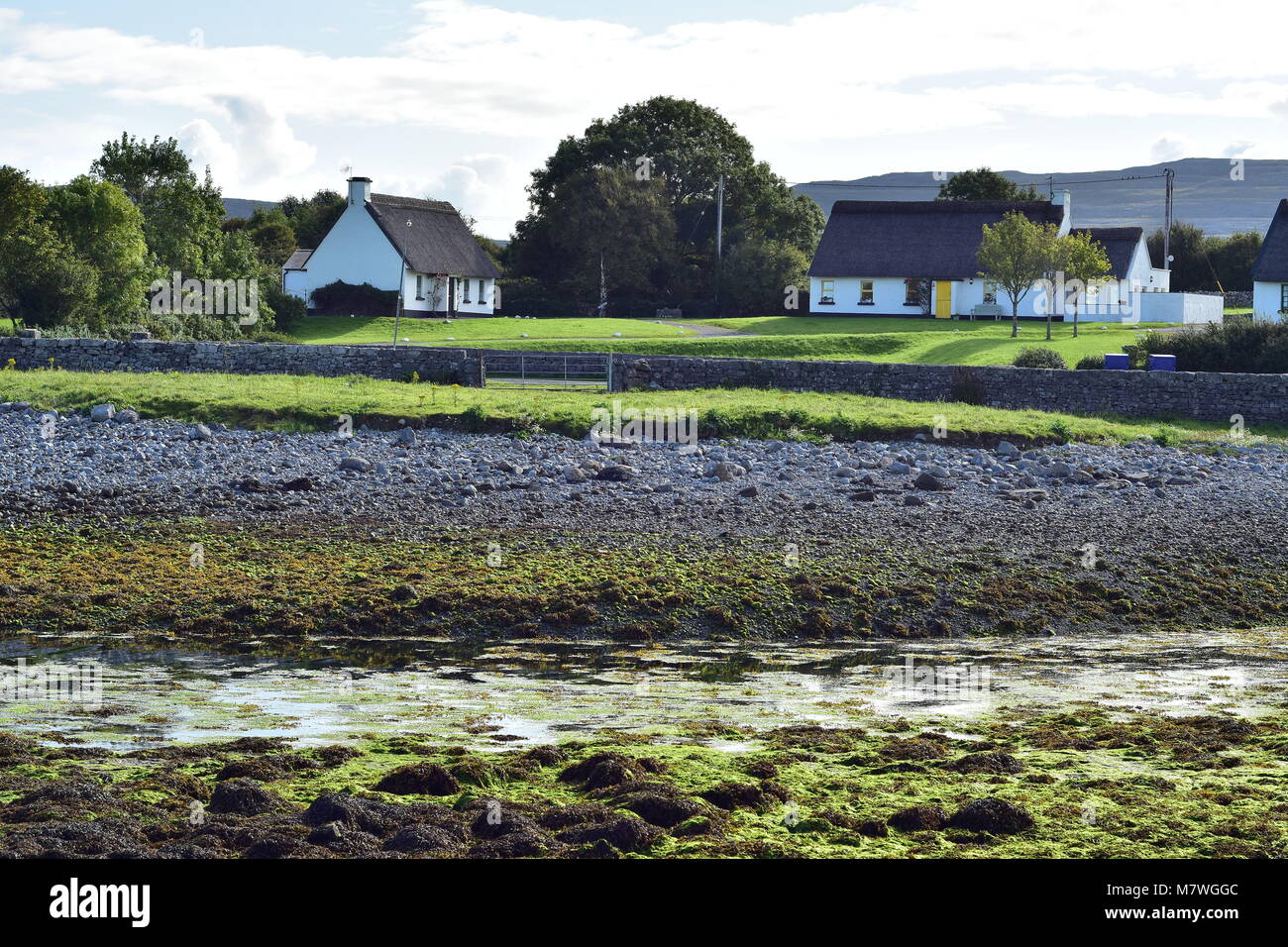 White country cottages with thatched roof in village of Ballyvaughan on ...