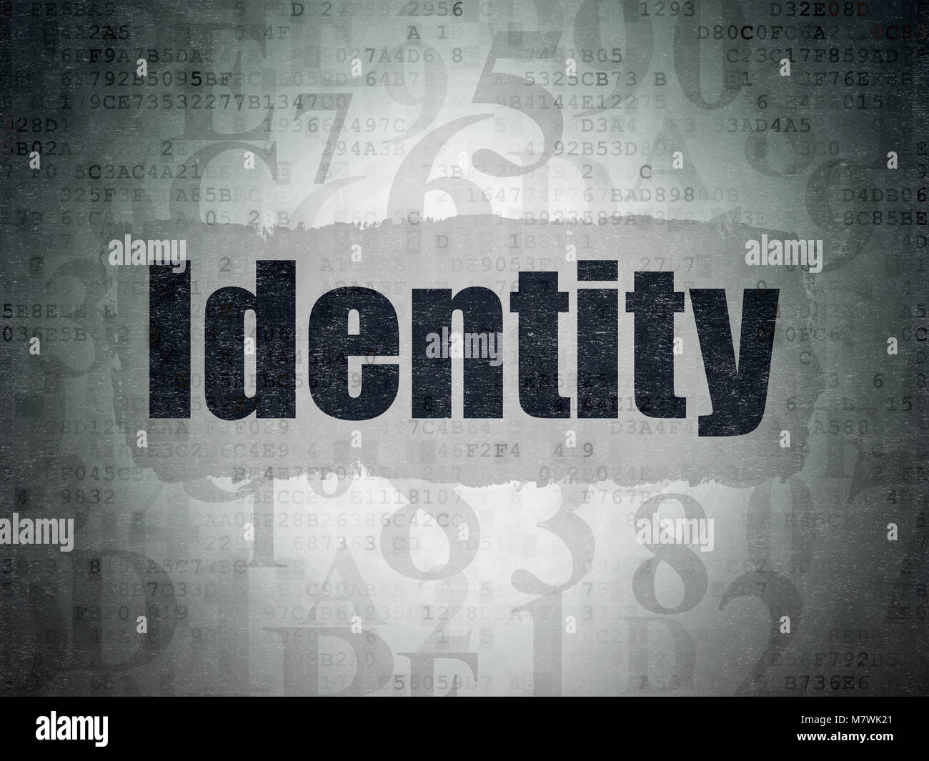 Privacy concept: Identity on Digital Data Paper background Stock Photo ...
