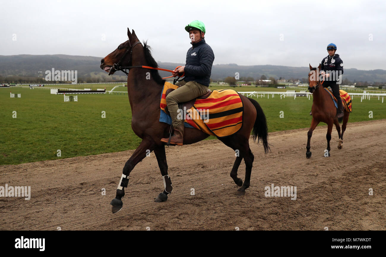 Horses on the gallops ahead of Champion Day of the 2018 Cheltenham ...