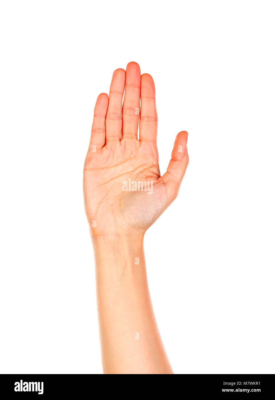 Female hand isolated on a white background Stock Photo - Alamy