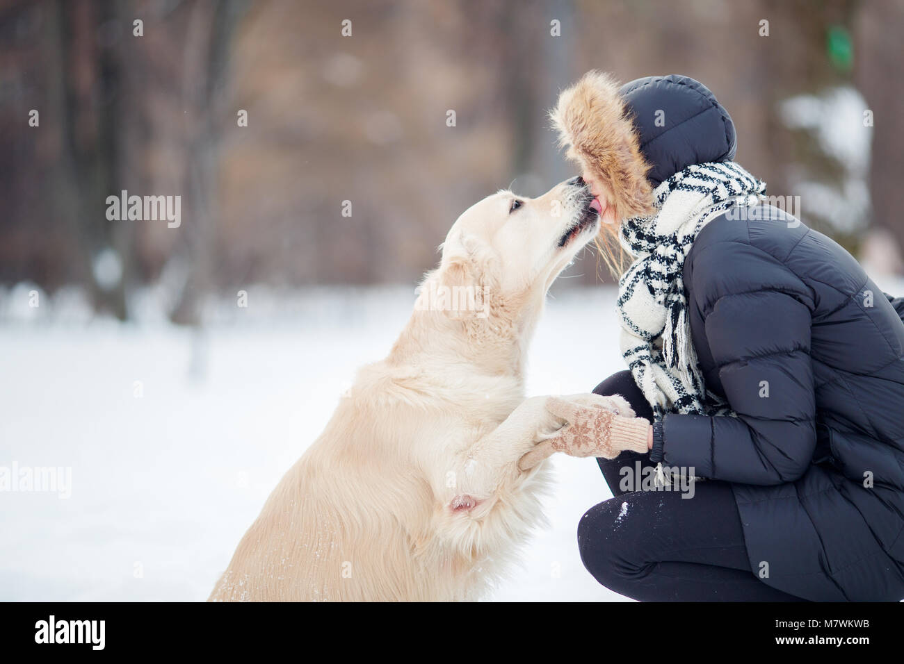 Picture of girl hugging labrador in snowy park Stock Photo - Alamy