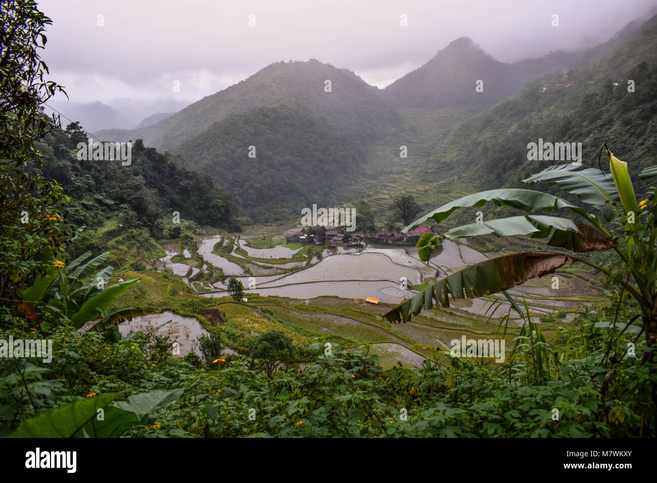 Bangaan rice terraces hi-res stock photography and images - Alamy