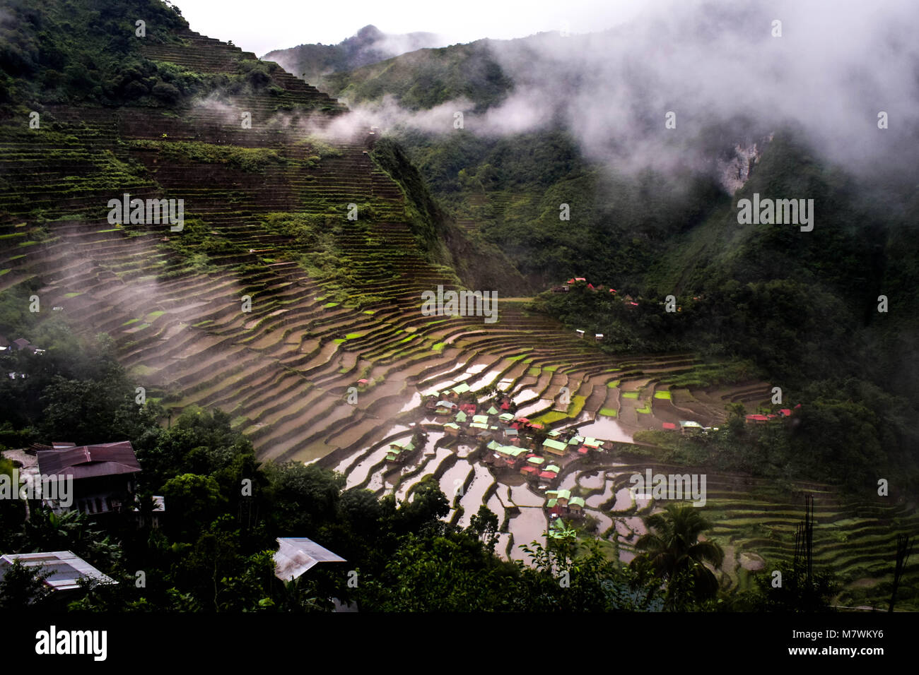 Batad Rice Terraces that can be reach through hiking, Batad village ...