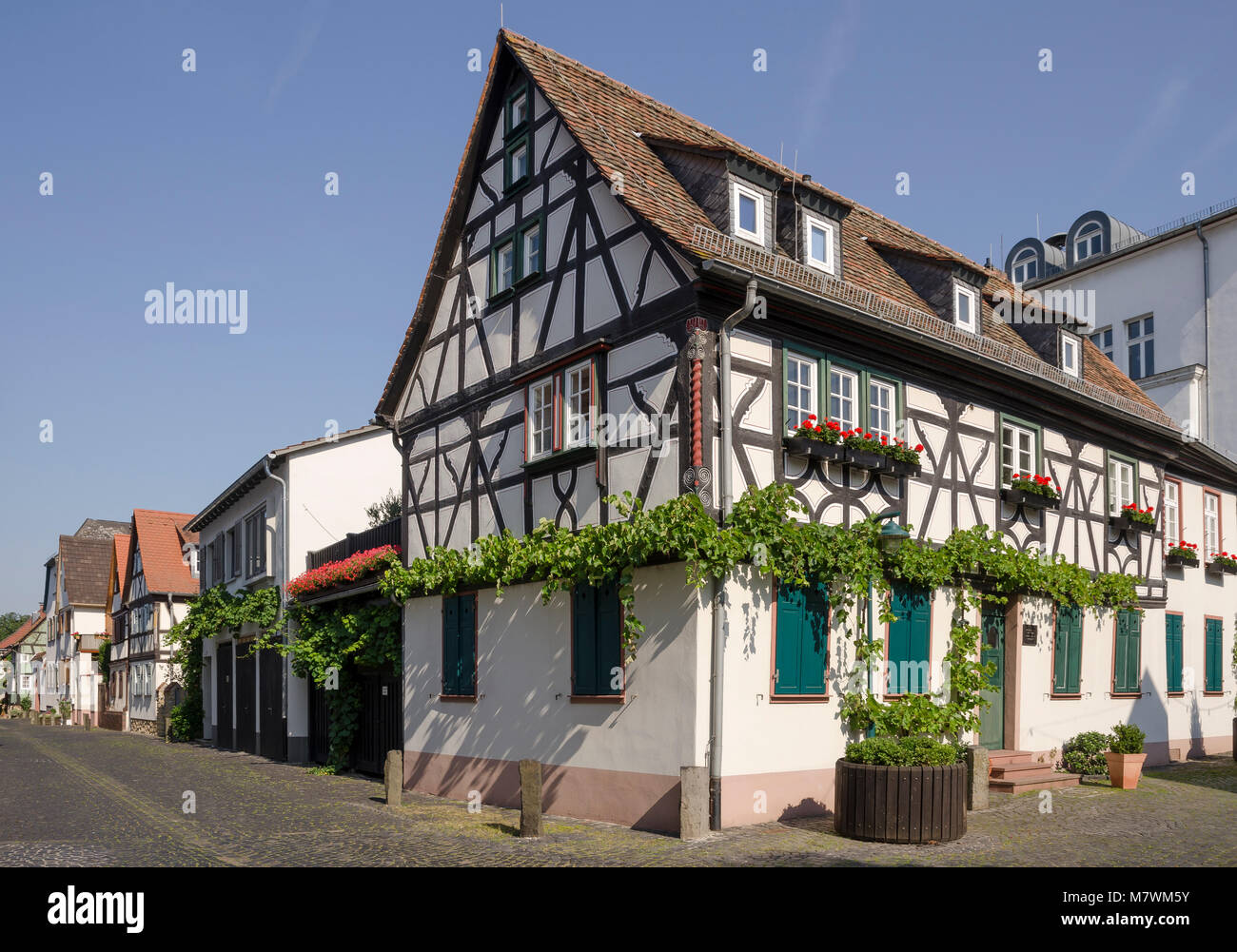 Hochheim, Rheingau, Hessen, Deutschland Stock Photo - Alamy