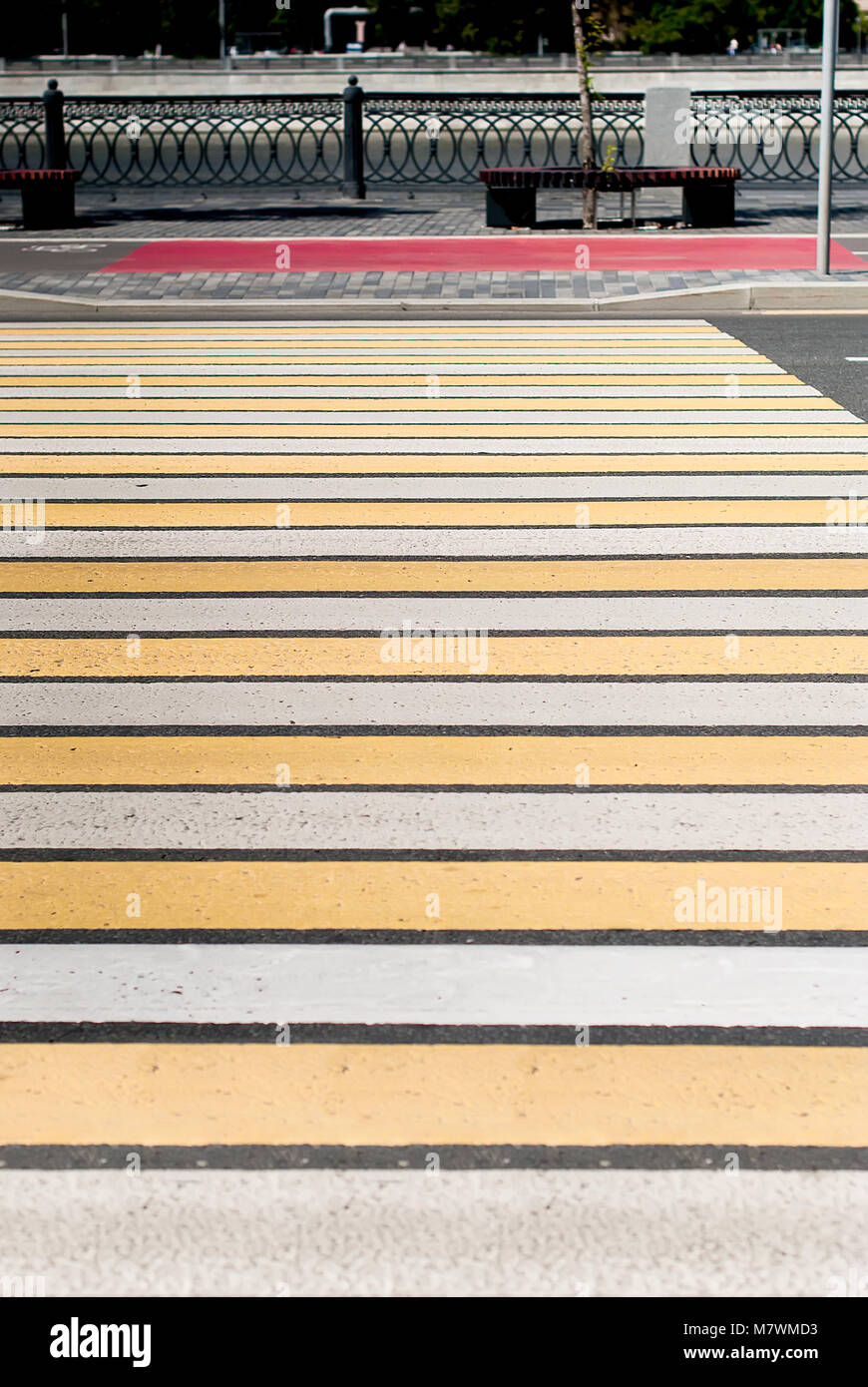 Crosswalk in the city center along park. Withing on the pedestrian ...